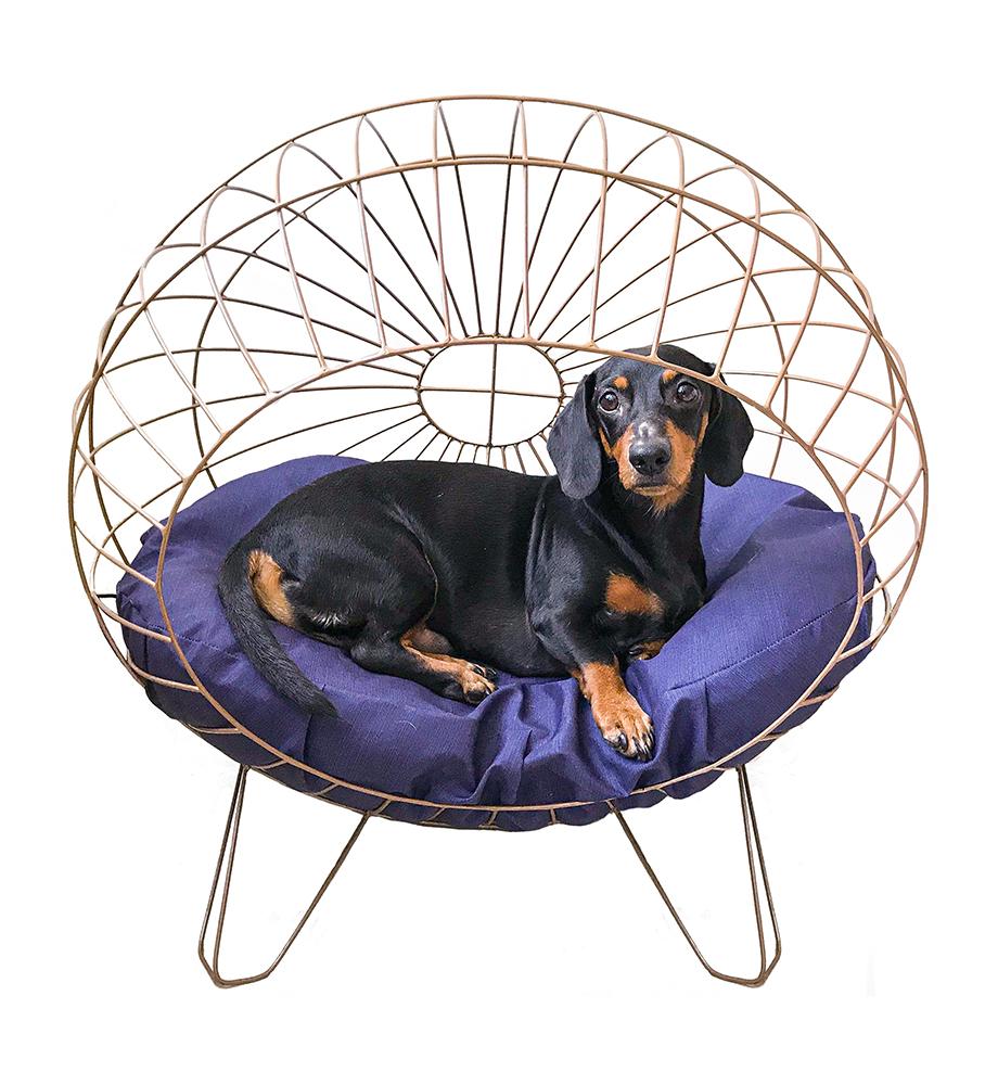 The Pet Pod — Bow House